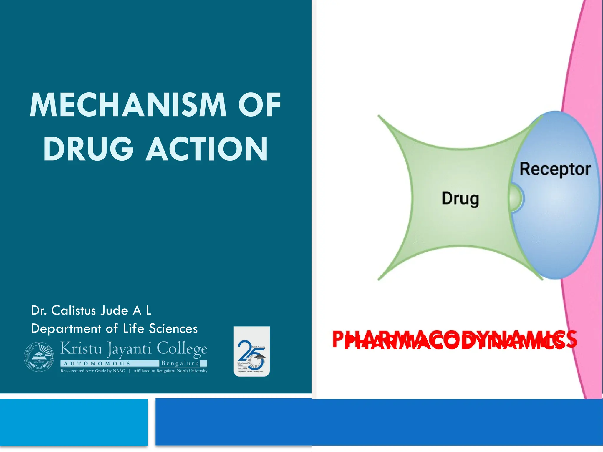 Mechanism of Drug Receptor Binding and Action.pptx