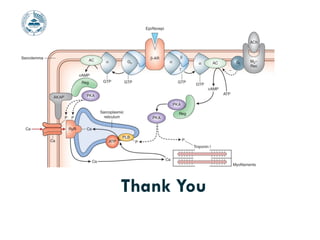 Mechanism of Drug Receptor Binding and Action.pptx