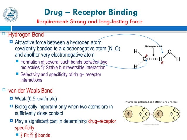 Mechanism of Drug Receptor Binding and Action.pptx