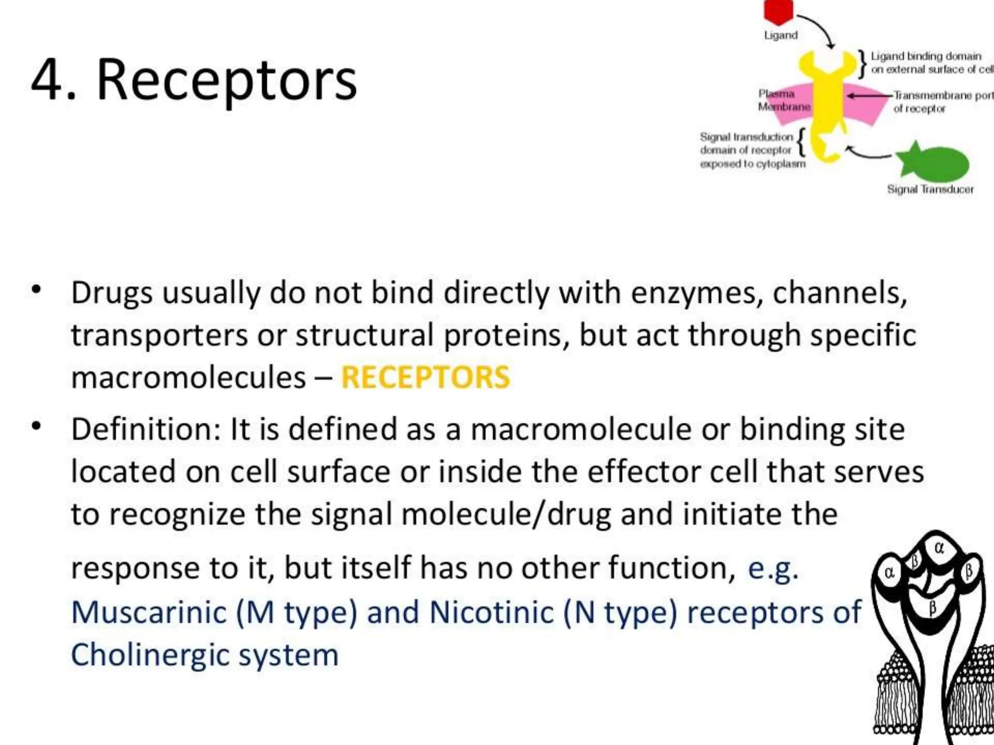 Mechanism of drug action & Receptors FINAL SY.pptx