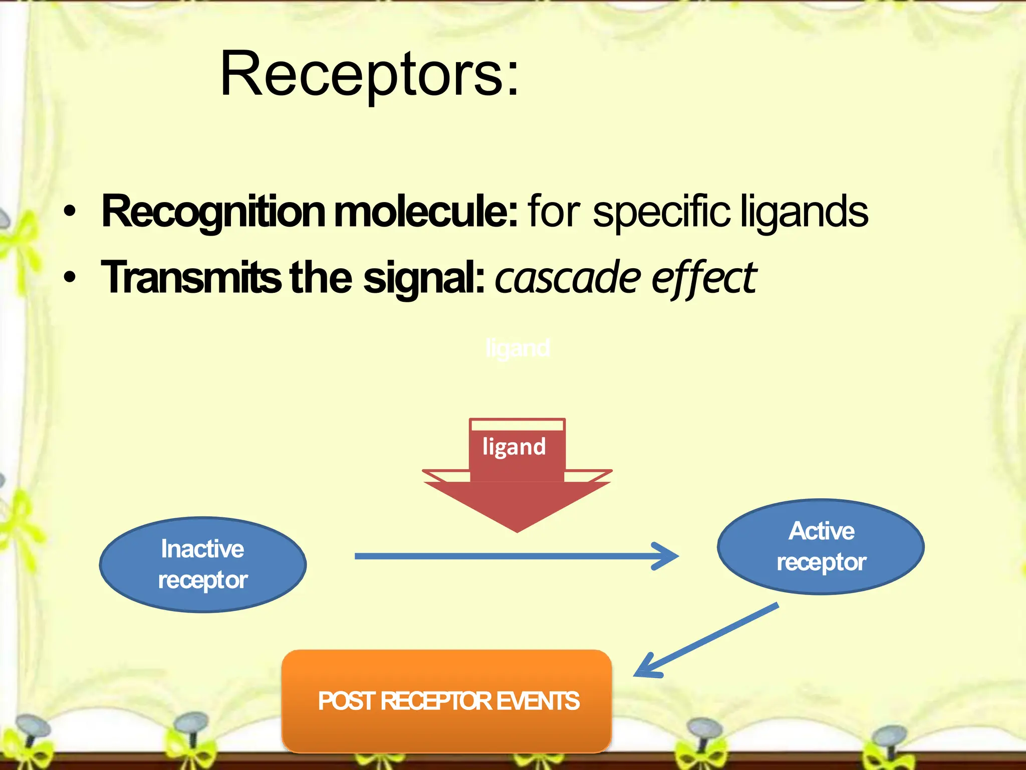 Mechanism of drug action & Receptors FINAL SY.pptx