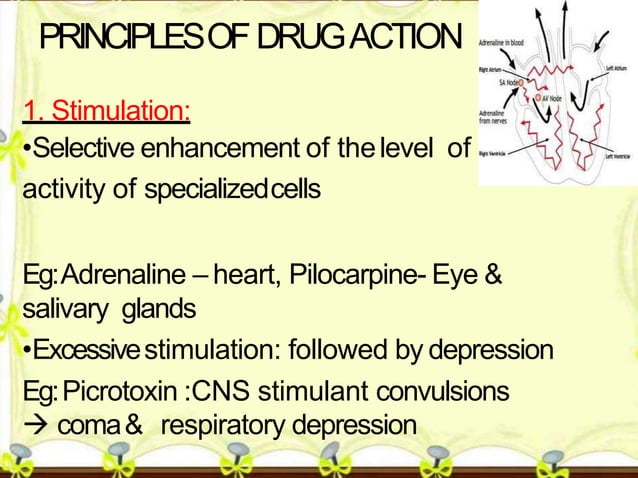 Mechanism of drug action & Receptors FINAL SY.pptx