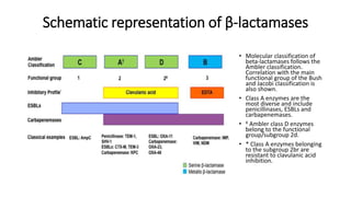 Mechanism of drug resistance | PPTX