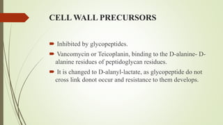 Mechanism of drug resistance | PPTX