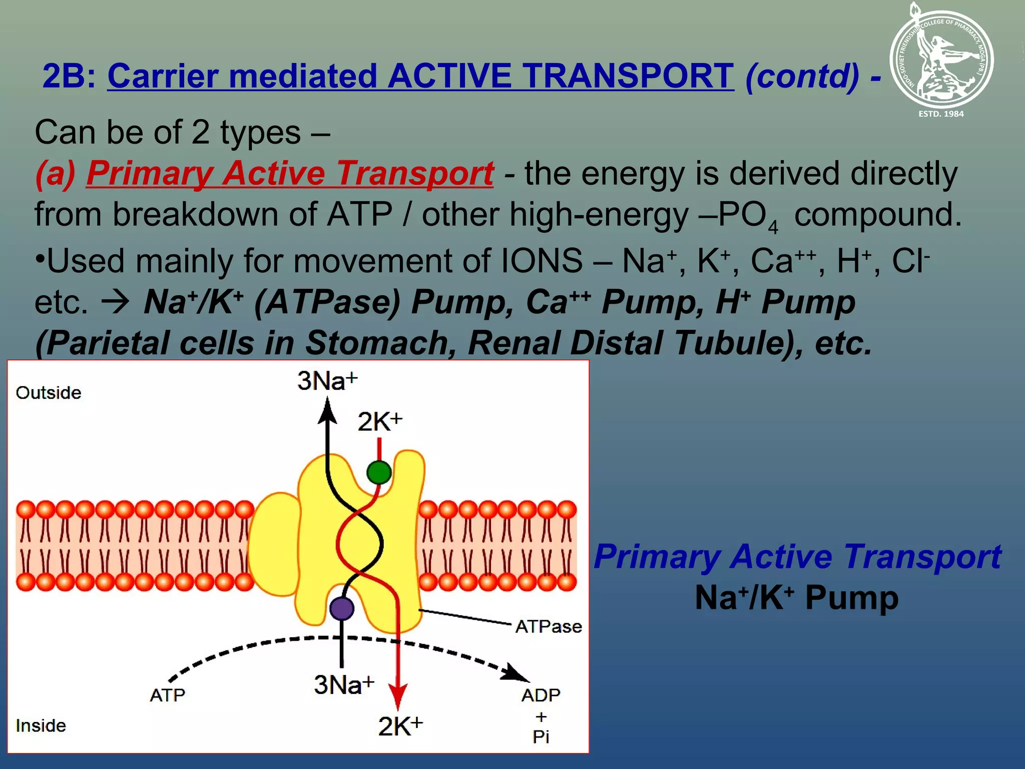 Mechanism of Transport of Drug Molecules | PPT
