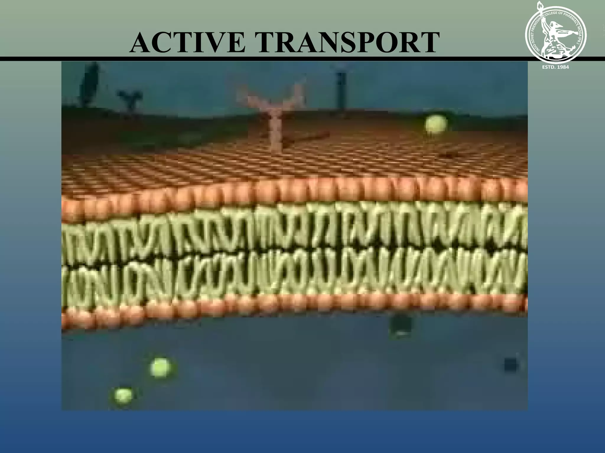 Mechanism of Transport of Drug Molecules | PPT