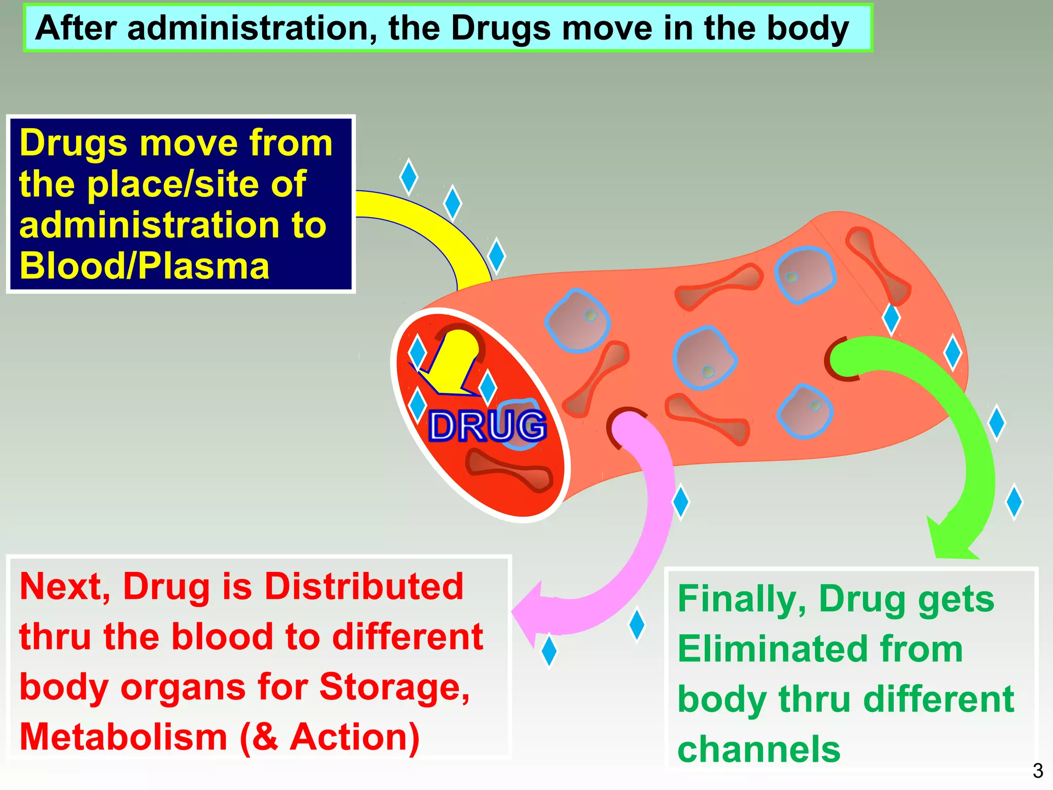 Mechanism of Transport of Drug Molecules | PPT