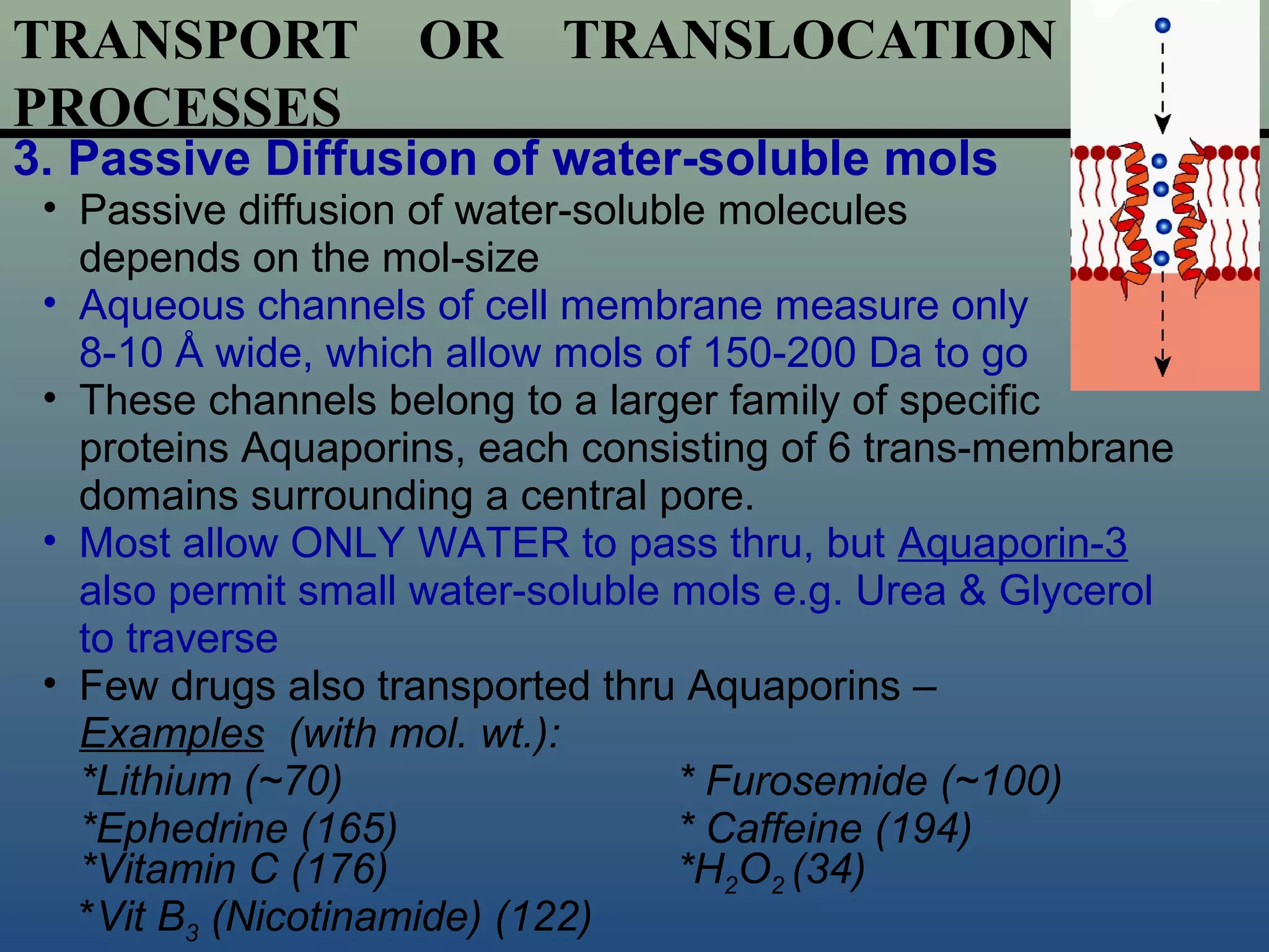 Mechanism of Transport of Drug Molecules | PPT