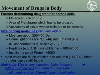 Mechanism of Transport of Drug Molecules | PPT
