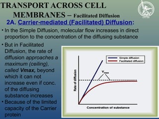 Mechanism of Transport of Drug Molecules | PPT