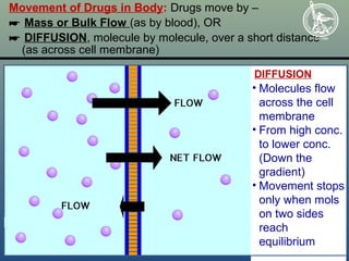Mechanism of Transport of Drug Molecules | PPT