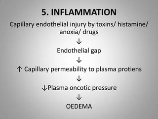 Mechanism of edema | PPTX