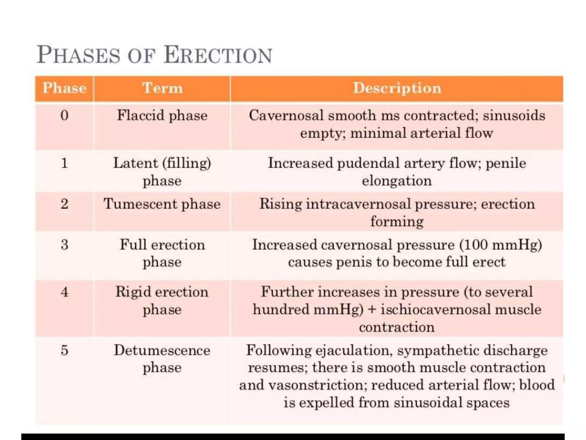 Mechanism of ejection and eraculation | PPTX