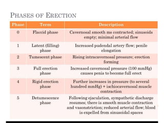 Mechanism of ejection and eraculation | PPTX
