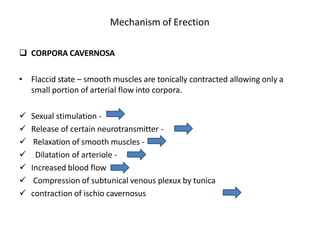 Mechanism of ejection and eraculation | PPTX