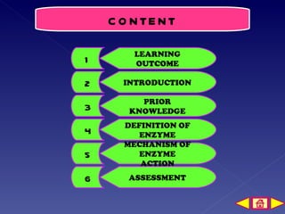 Mechanism of Enzyme Action | PPT | Free Download