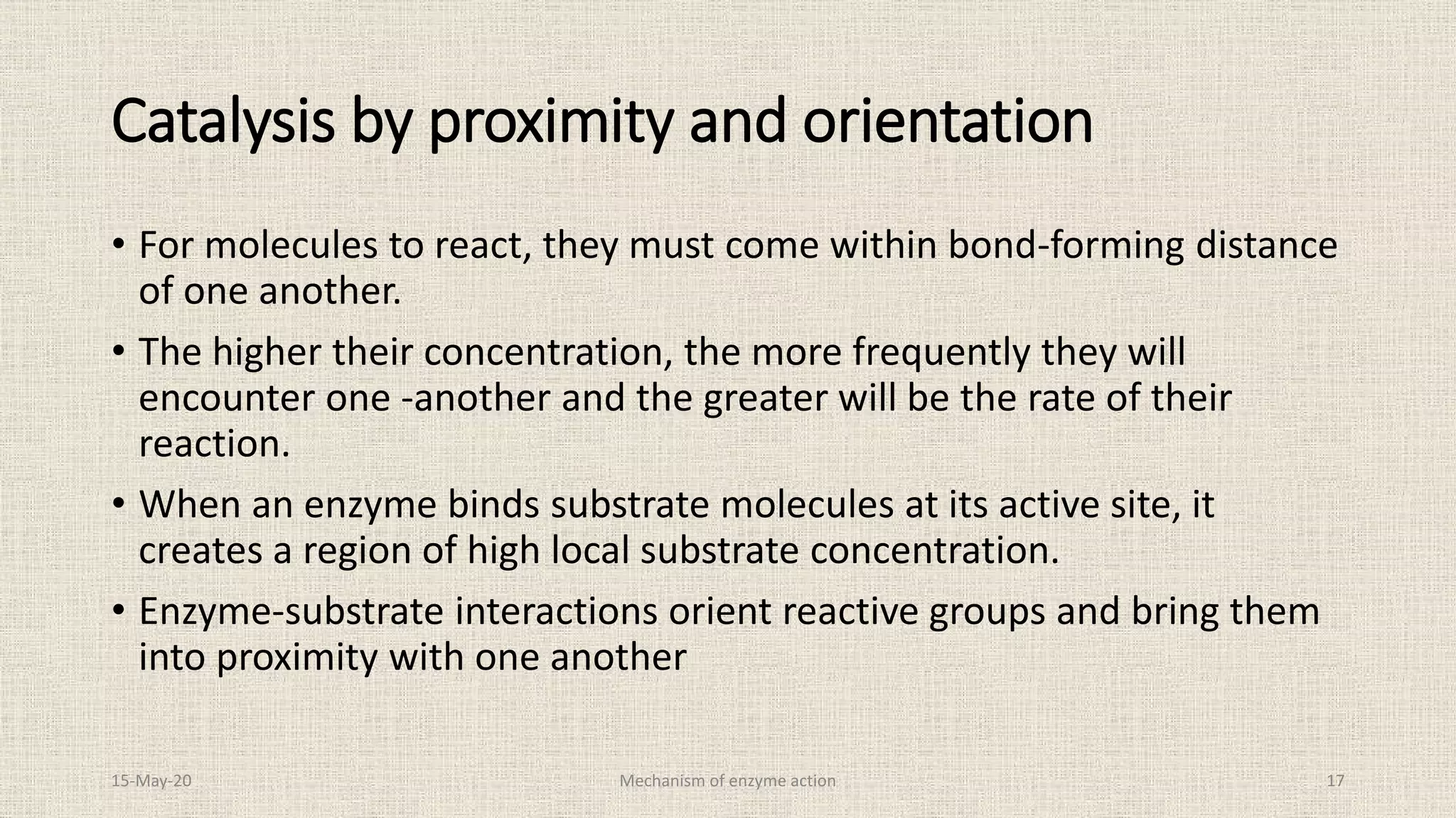 Mechanism of enzyme action | PDF