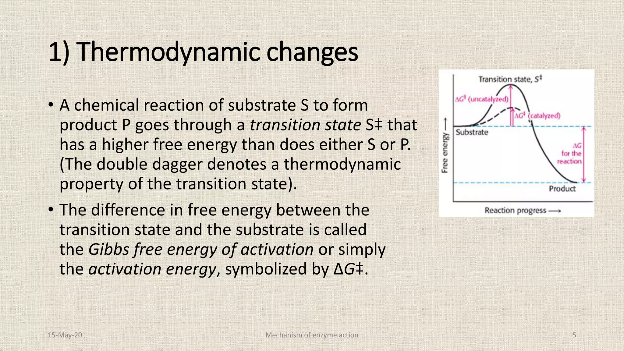 Mechanism of enzyme action | PDF