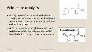 Mechanism of enzyme action | PDF