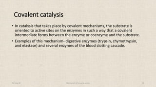 Mechanism of enzyme action | PDF