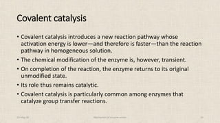 Mechanism of enzyme action | PDF