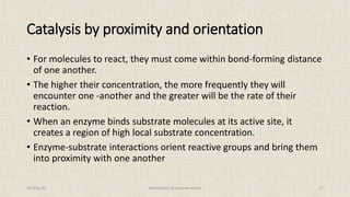 Mechanism of enzyme action | PDF