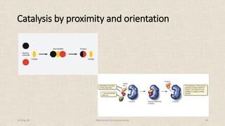Mechanism of enzyme action | PDF