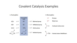 Mechanism of enzyme action | PPTX