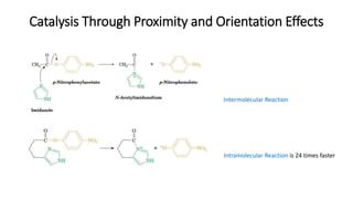 Mechanism of enzyme action | PPTX