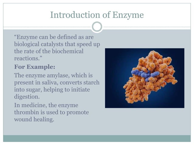 Mechanism of Enzyme Action.. | PPTX | Chemistry | Science