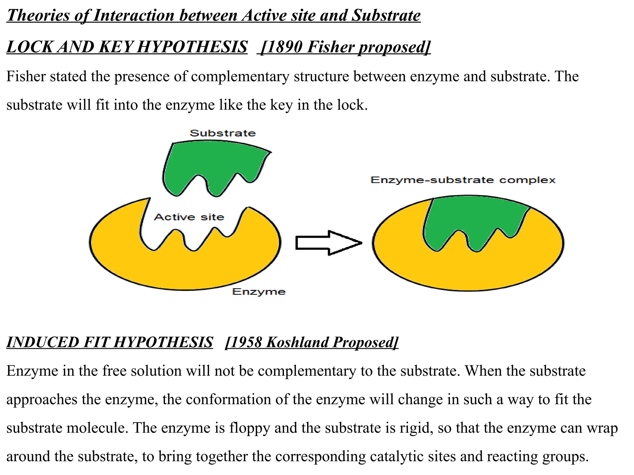 Mechanism Of Enzyme Action Catalysis Pptx