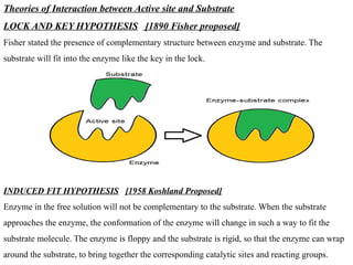 Mechanism of enzyme action - catalysis.pptx