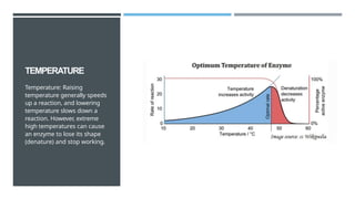 Mechanism of Enzyme Action 00.pptx