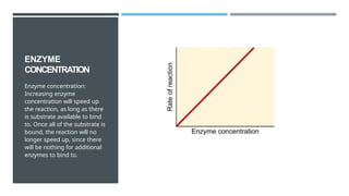 Mechanism of Enzyme Action 00.pptx