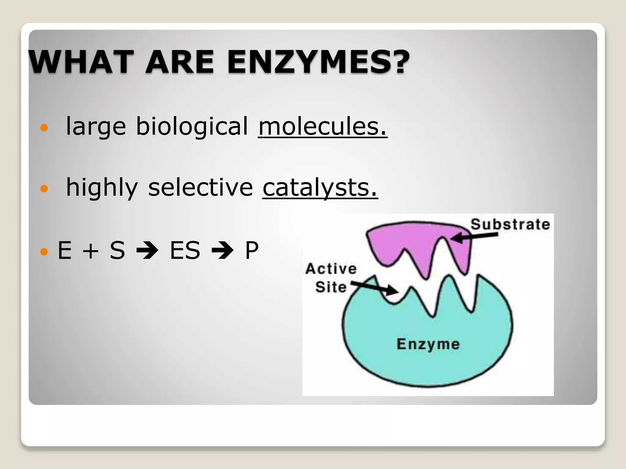 Mechanism of enzyme catalysis | PPTX