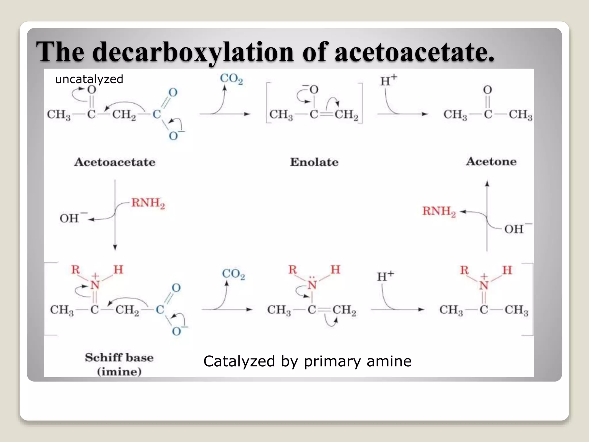 Mechanism of enzyme catalysis | PPTX