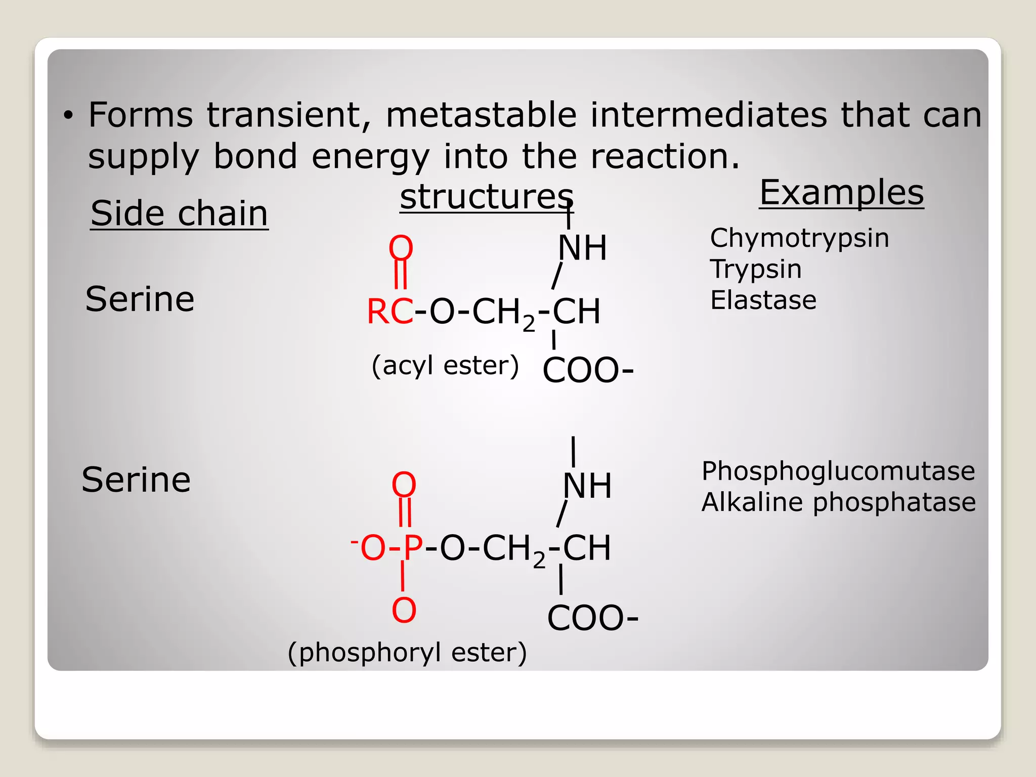 Mechanism of enzyme catalysis | PPTX