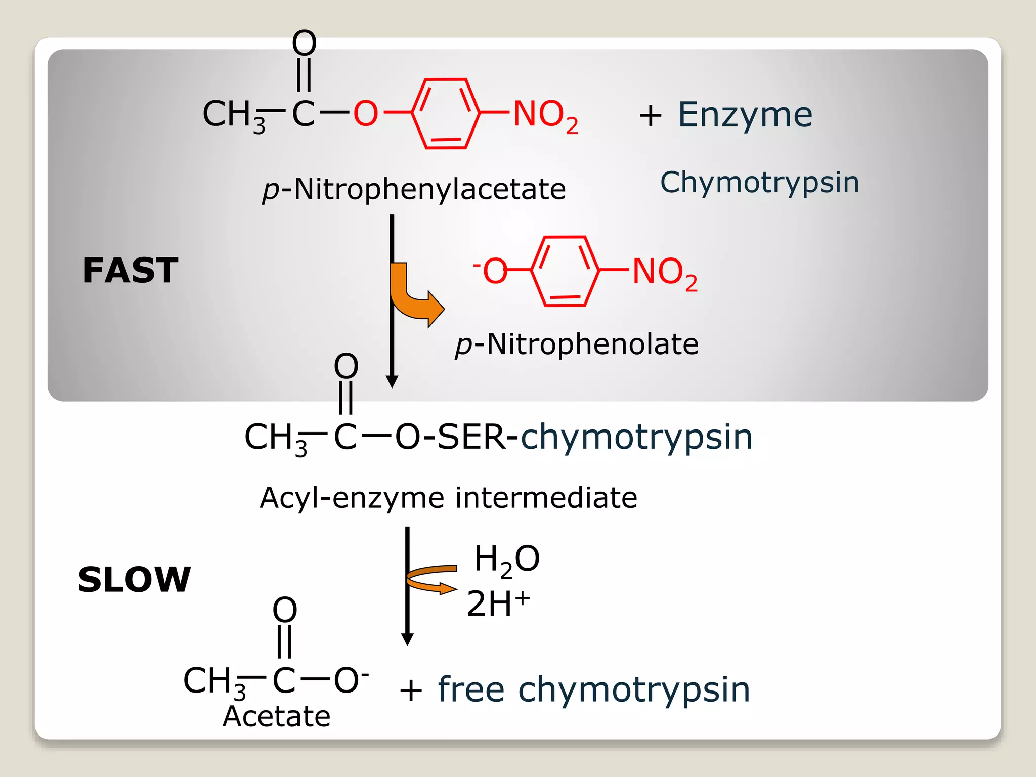 Mechanism of enzyme catalysis | PPTX