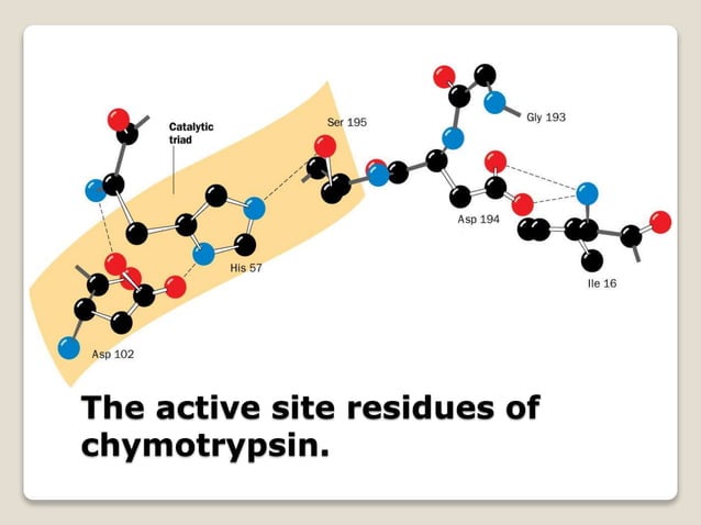 Mechanism of enzyme catalysis | PPTX