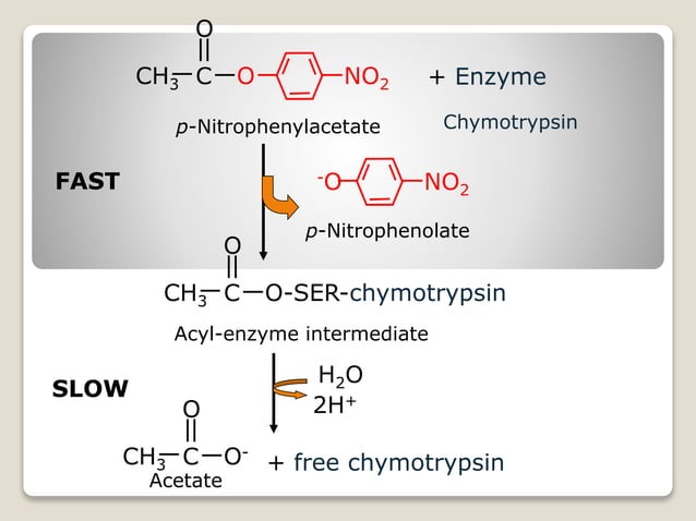 Mechanism of enzyme catalysis | PPTX