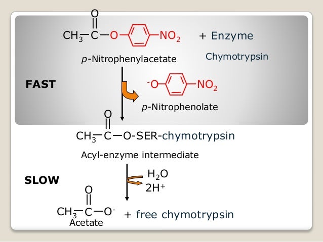 Mechanism of enzyme catalysis
