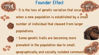 mechanism of evolution.pptx
