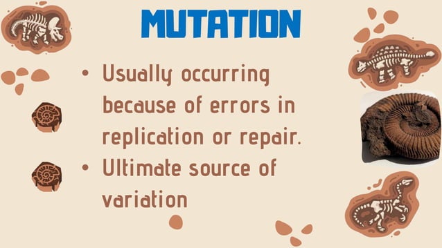 mechanism of evolution.pptx