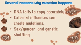 mechanism of evolution.pptx