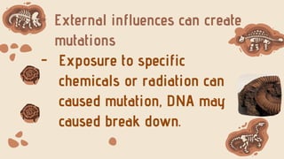 mechanism of evolution.pptx