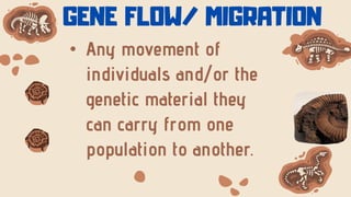 mechanism of evolution.pptx