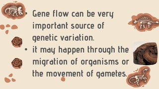 mechanism of evolution.pptx
