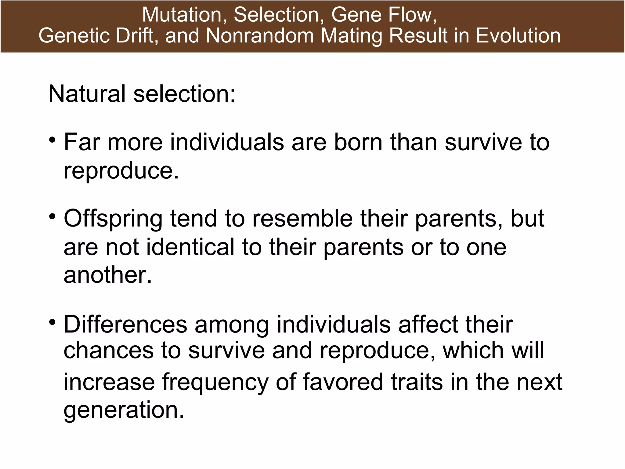 Mechanism of Evolution 1.pptx