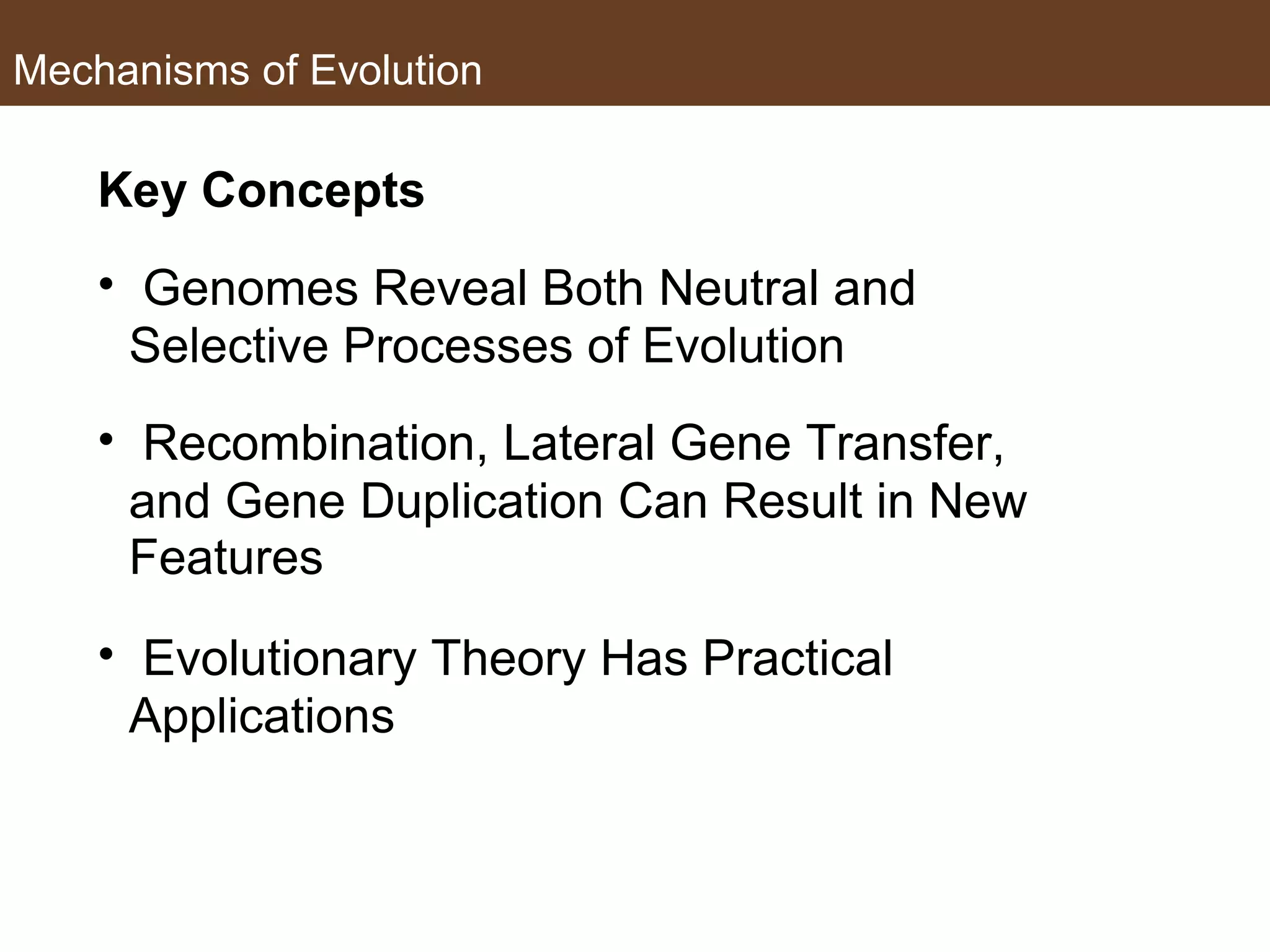 Mechanism of Evolution 1.pptx