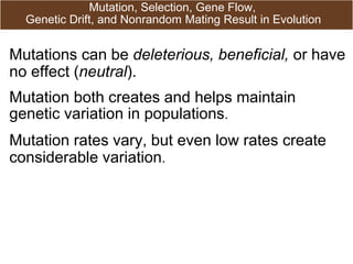 Mechanism of Evolution 1.pptx